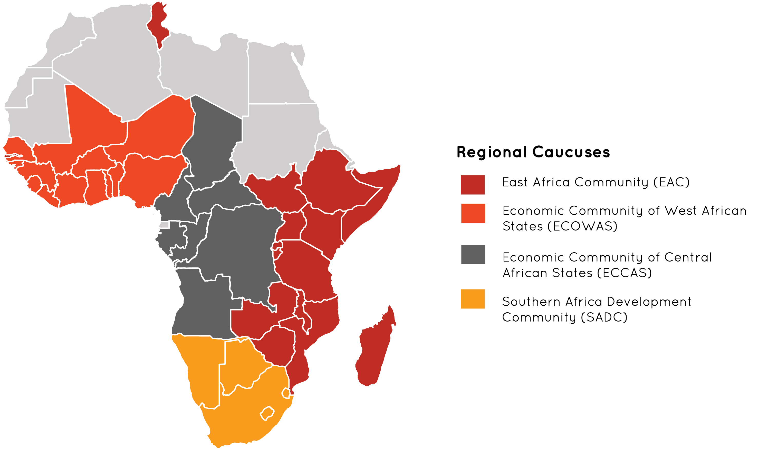 Regional Caucuses - APNIFFT